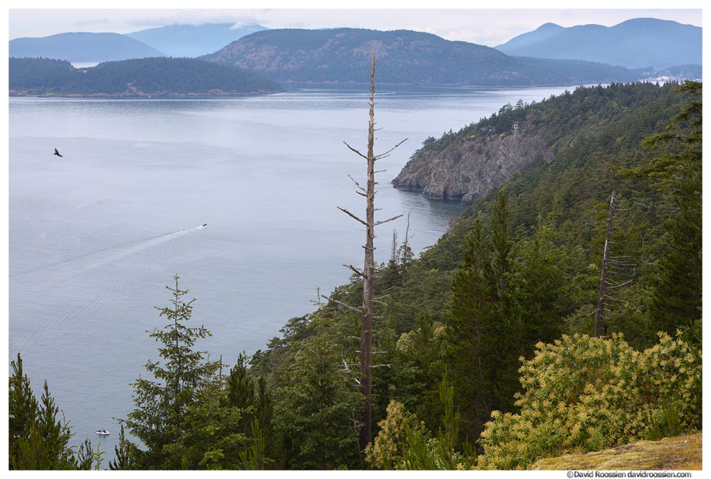 Sares Head and Burrows Bay, Fidalgo Island, Anacortes, Washington State ...
